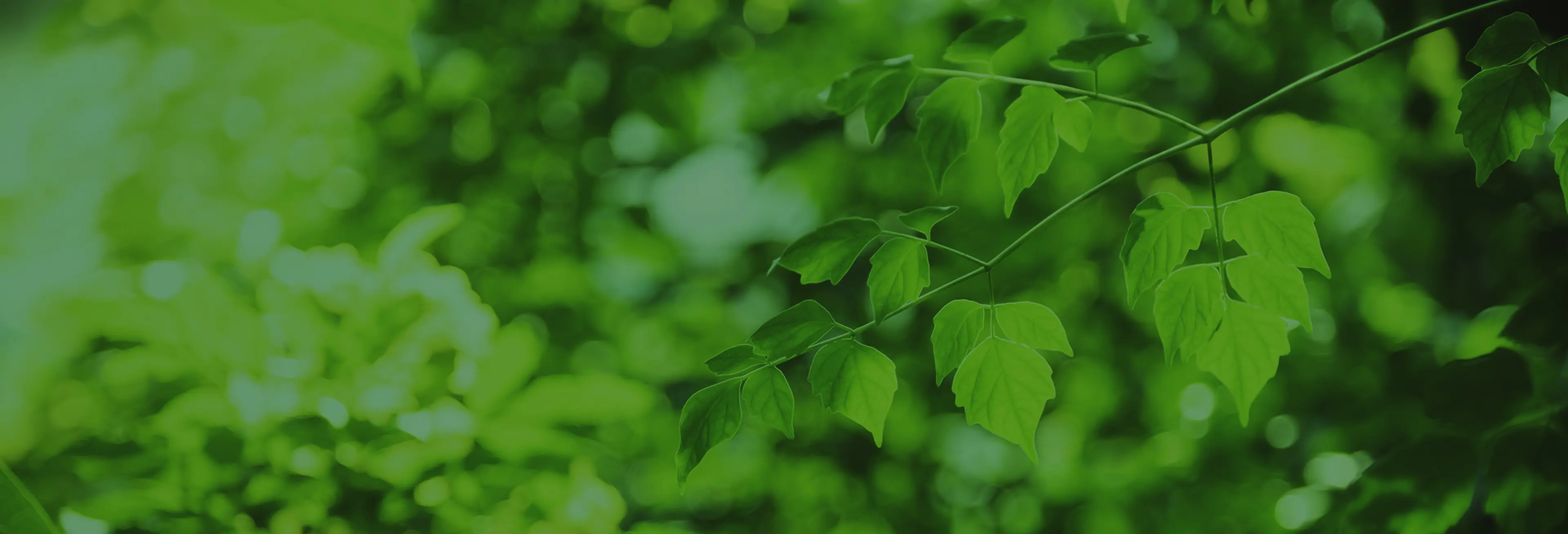 Blue Water environmental actions