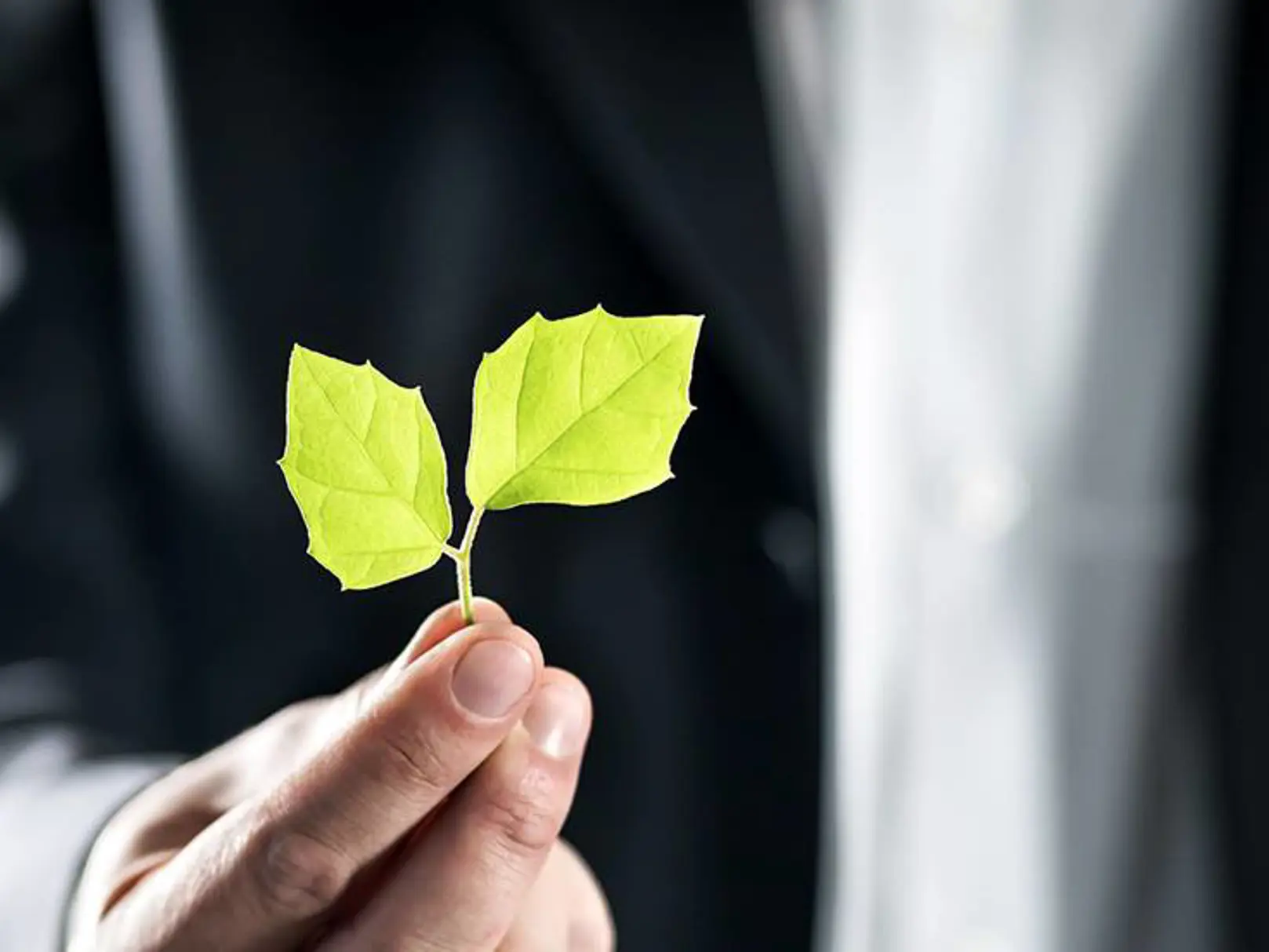 Greener and more sustainable transport & logistics