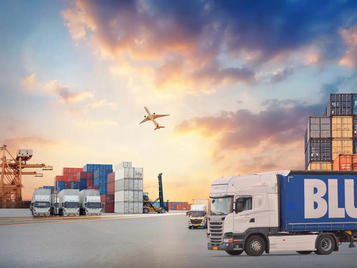 Transport and logistics experts in Turkiye