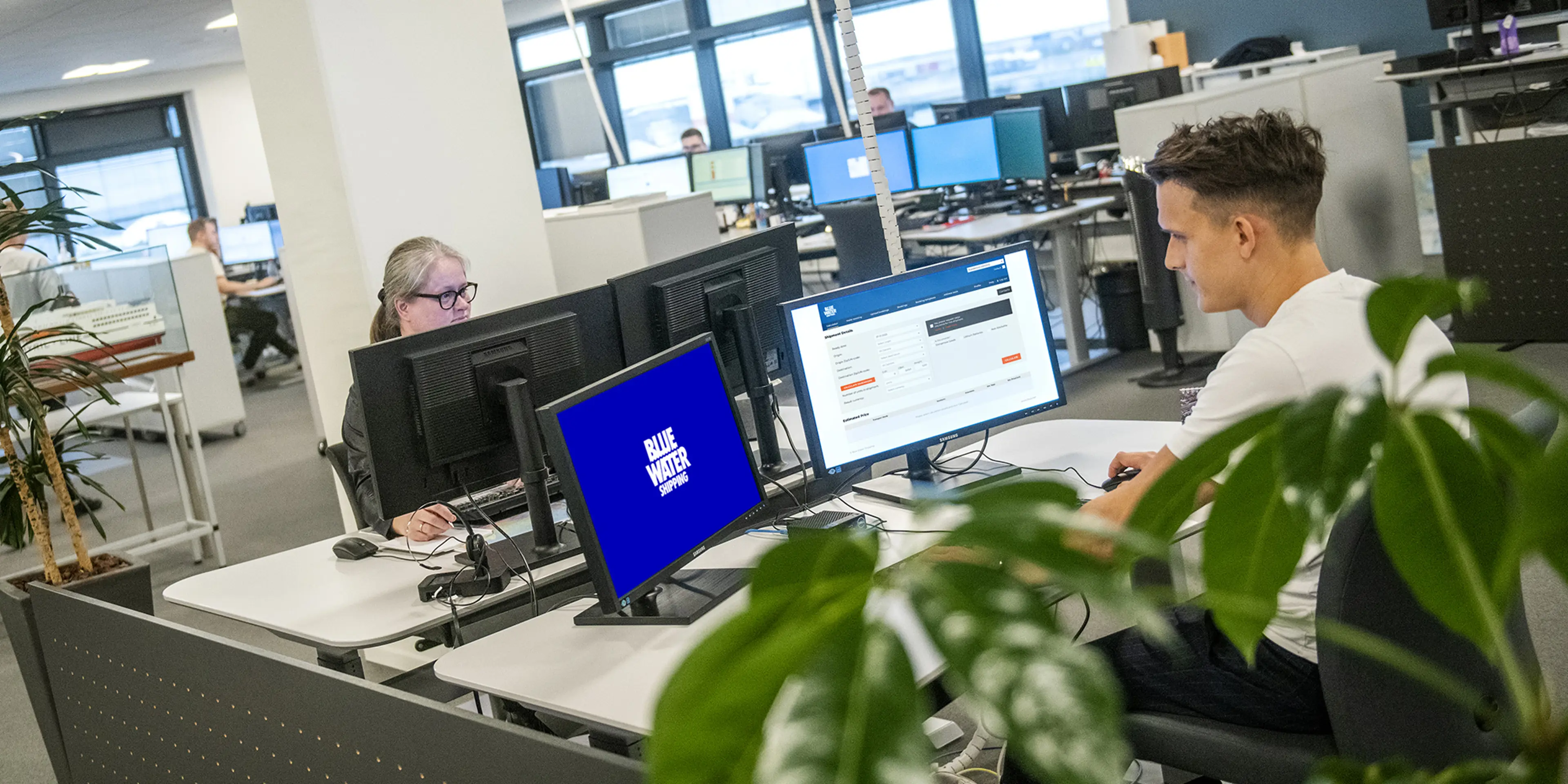 Customised and integrated IT for transport and logistics