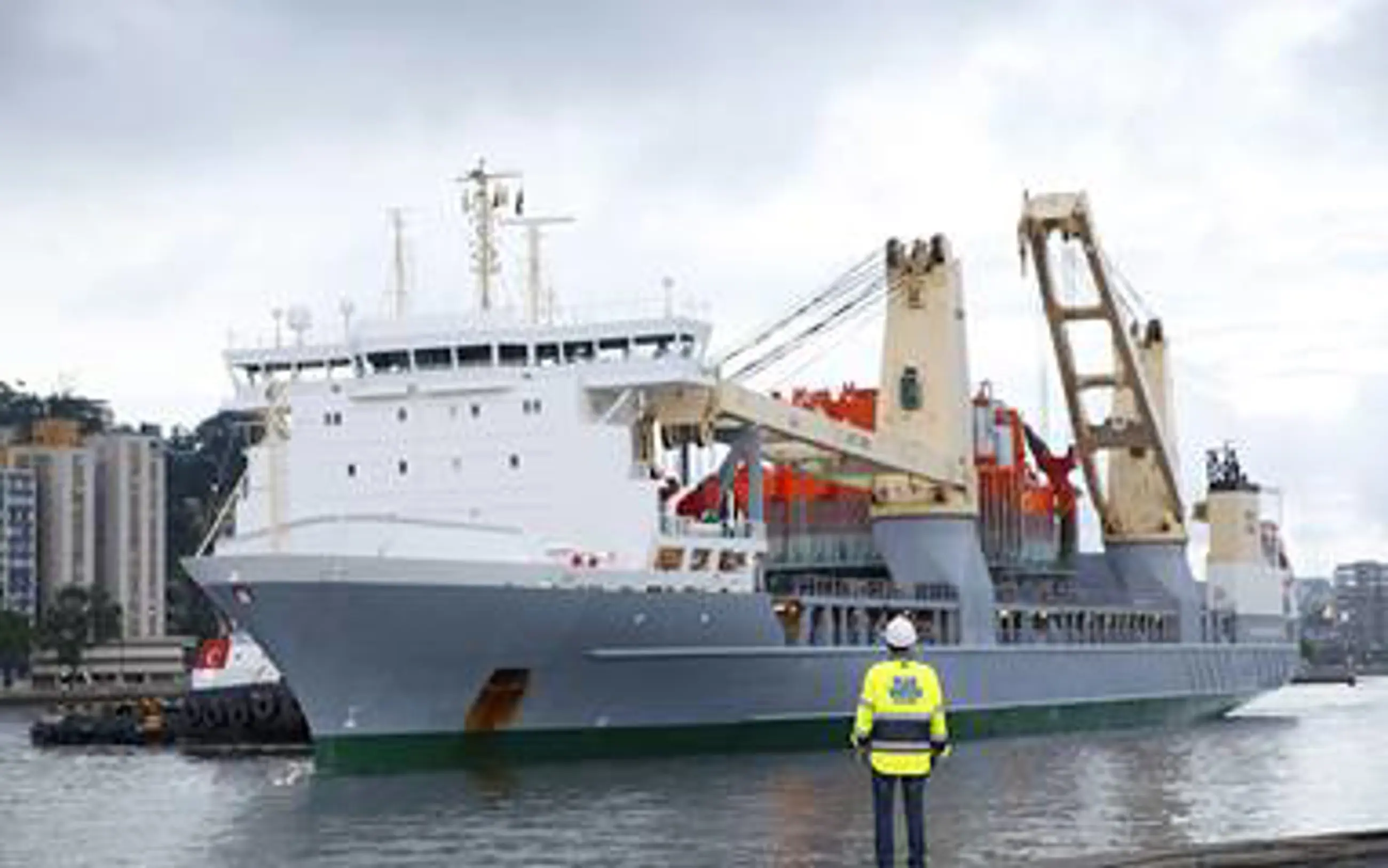 Stevedoring services and supervising of cargo loading and unloading