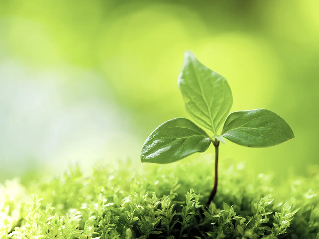 HSSEQ | A safe and secure workplace protecting employees and partners